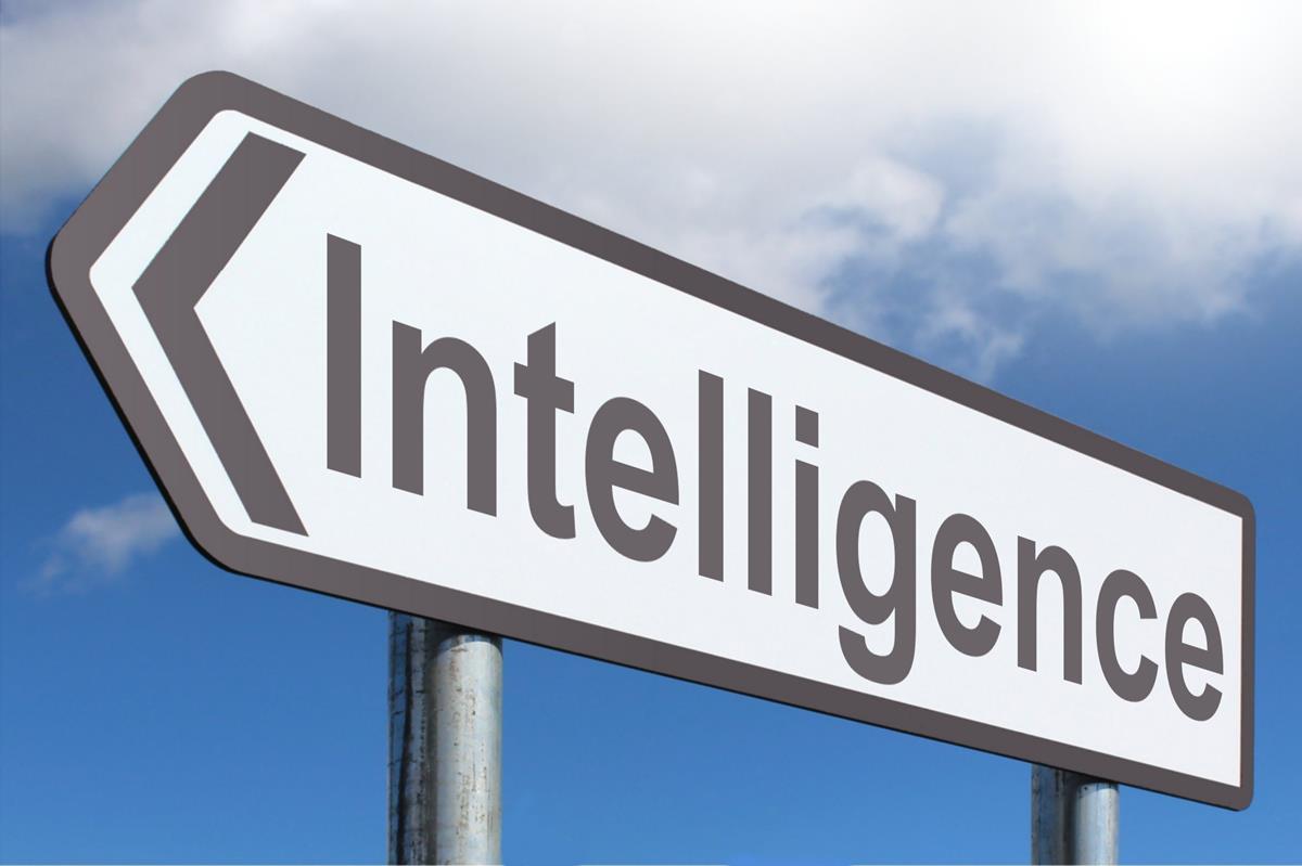 The Word Intelligent