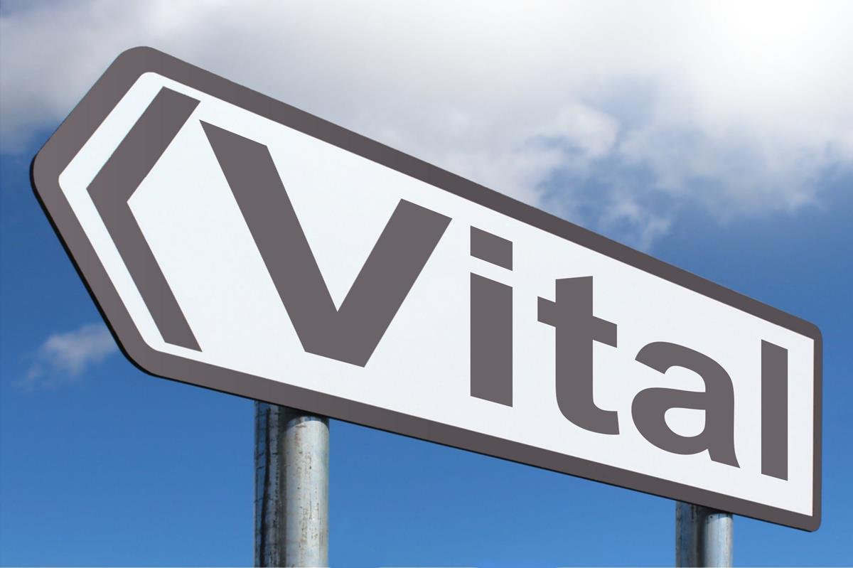 Vital Logo