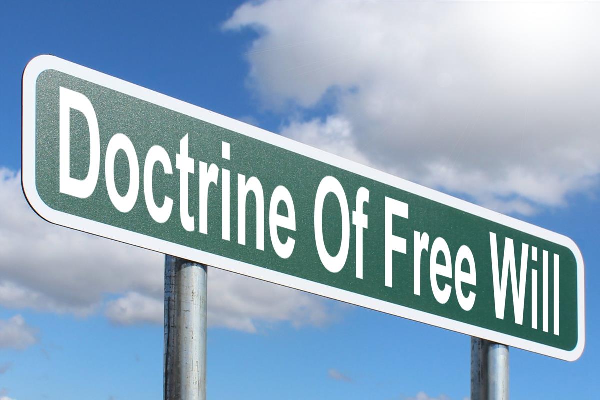 Doctrine Of Free Will Free Of Charge Creative Commons Green Highway